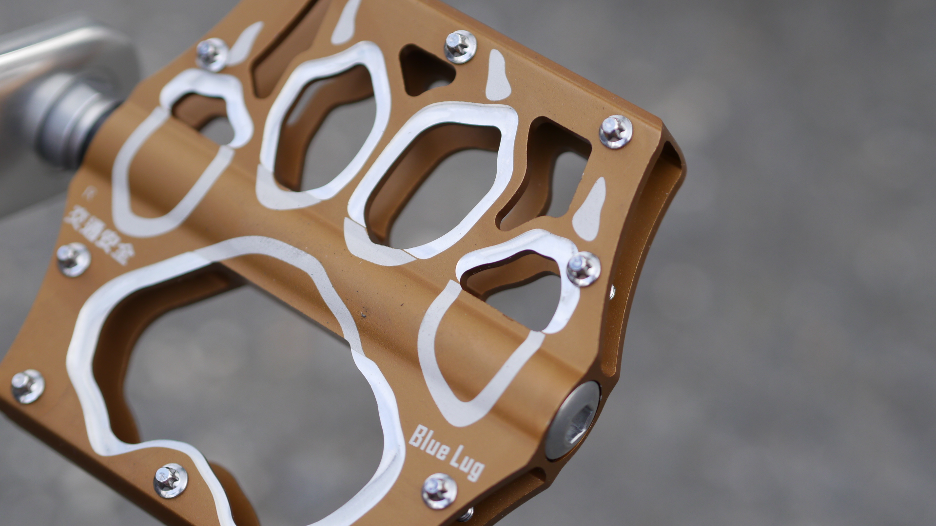 ALL City 「Electric Queen」/エレクトリッククイーン☆カスタムにて納車 – ブログ☆「CycleFlower/サイクル ...